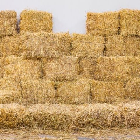 The Secret To Soft, Healthy Mixed Hair - Raising Biracial Babies